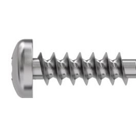 T-Drive Pan Head Plas-Tech 30 Screw Barenco